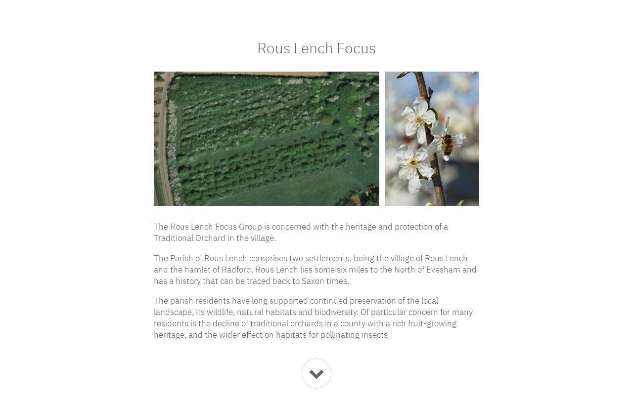 Rous Lench Focus